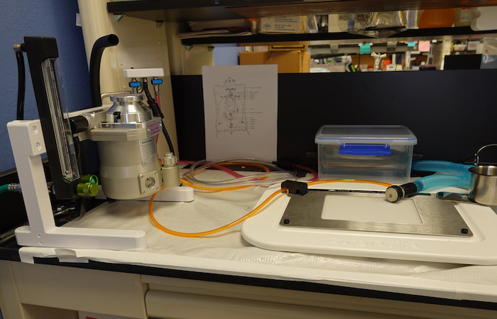 LSUHSC School of Medicine